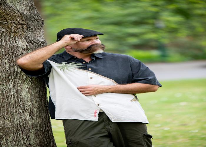 Perception Novels - Newlands Government